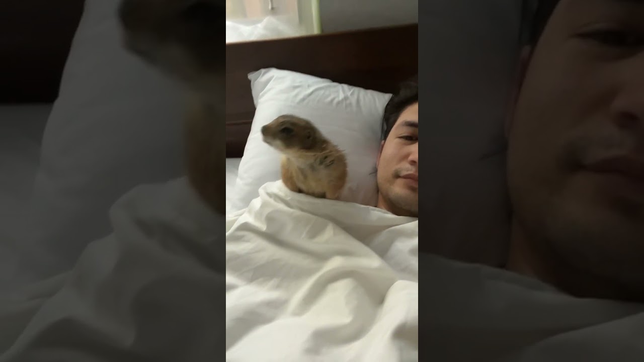 Poppy Says It’s Time to Wake Up