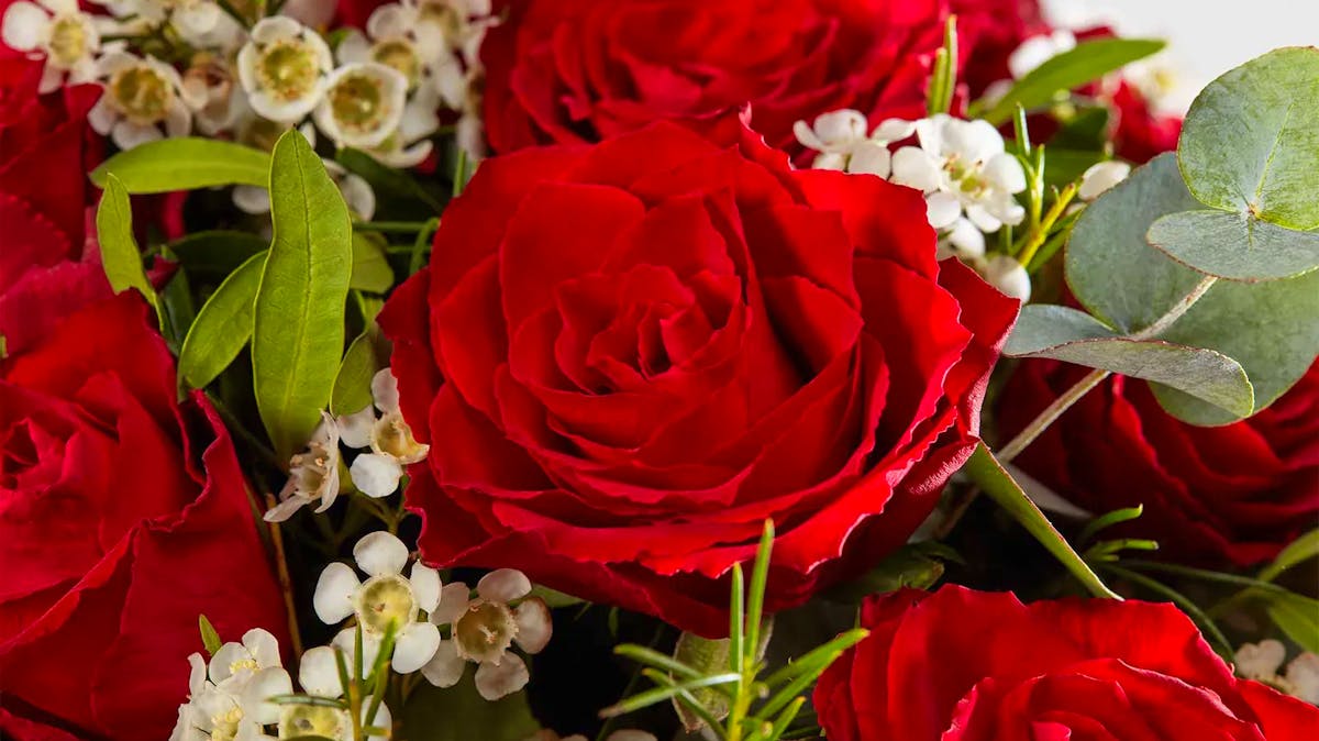 Des bouquets de fleurs contaminés par les pesticides