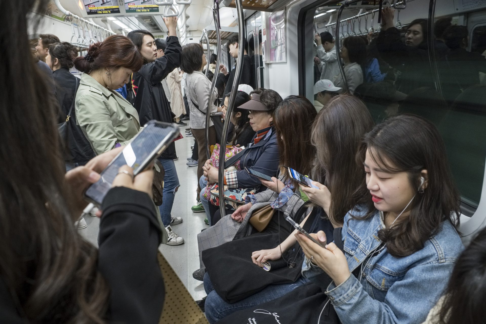 Nieuwe trend: een steen als huisdier