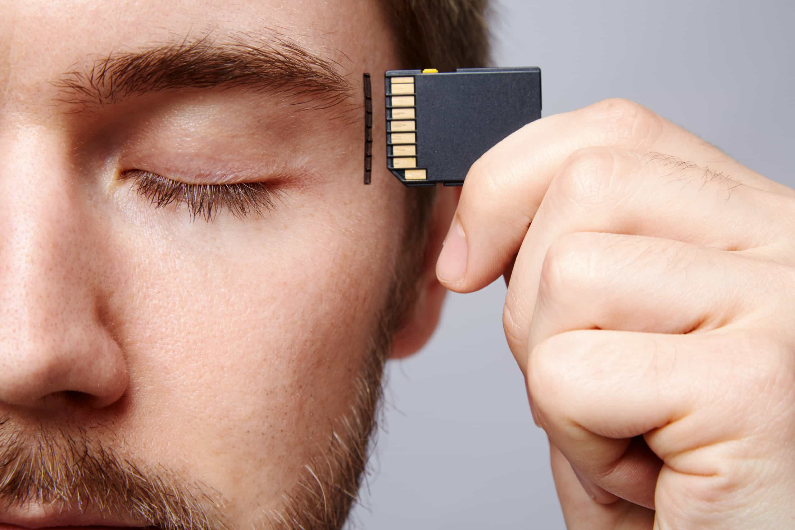 Nieuwe trend: een steen als huisdier