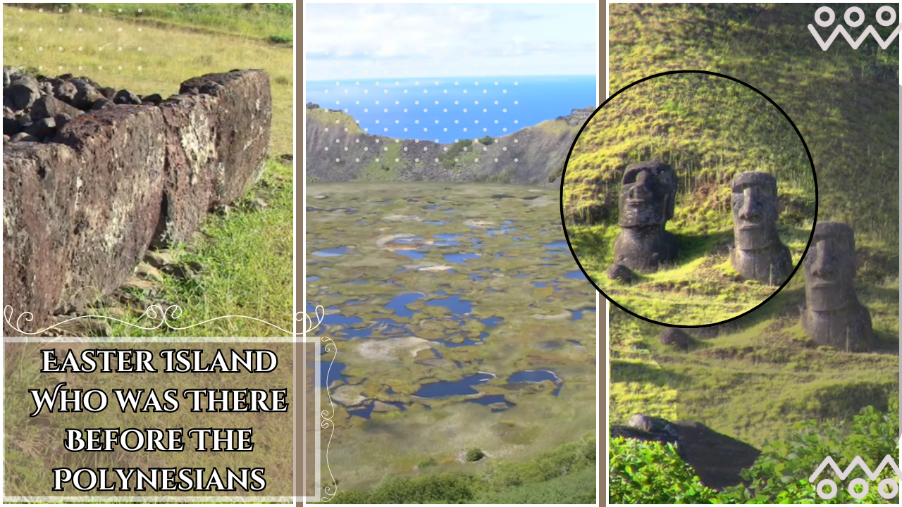 Brien Foerster - MSN