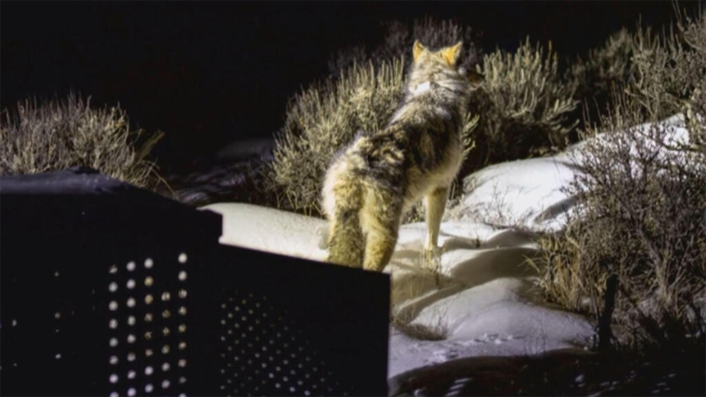 Colorado hires first batch of range riders, job entails guarding ...