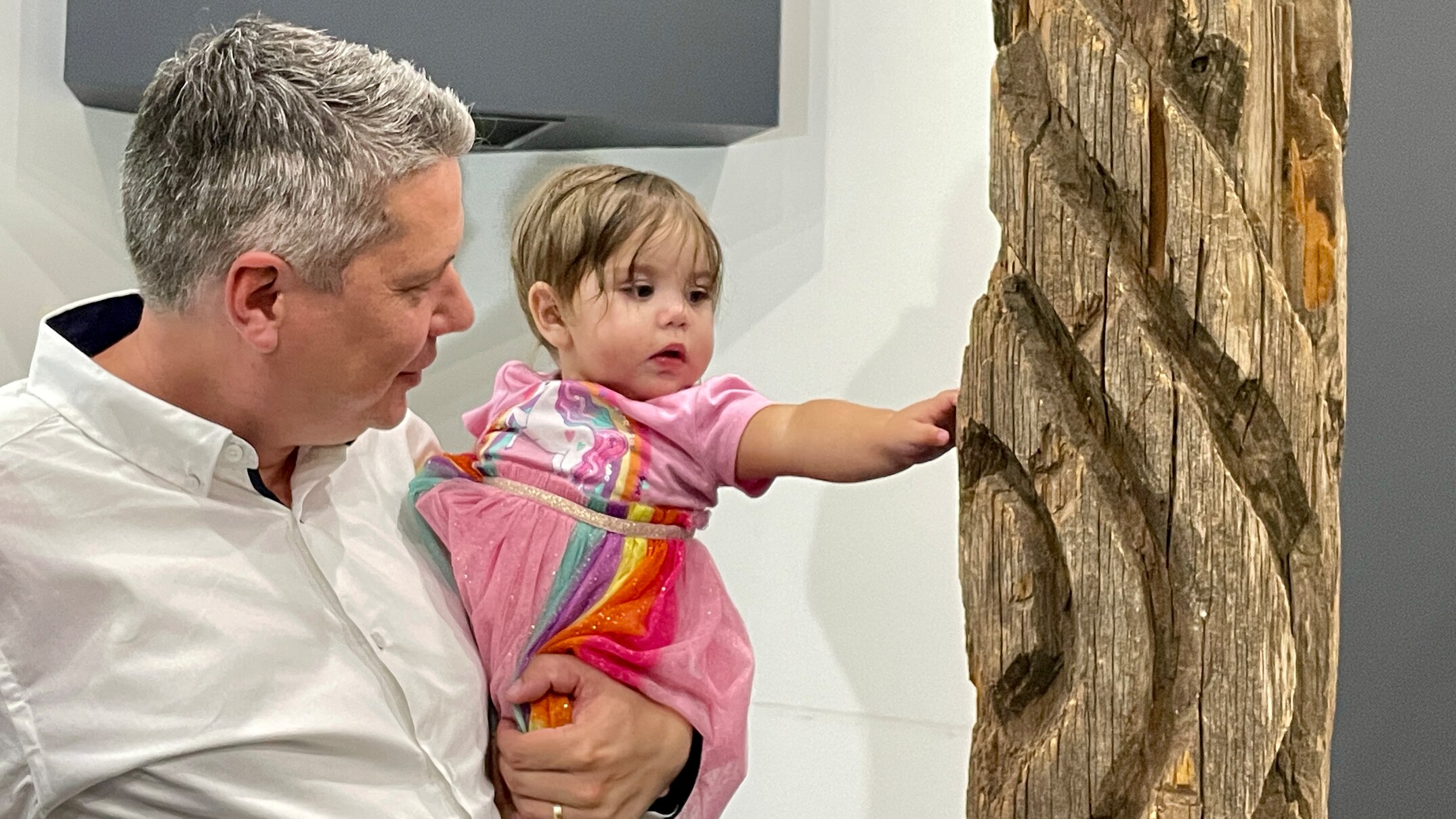 Gamilaraay sacred tree returned to Australia after eight decades in ...