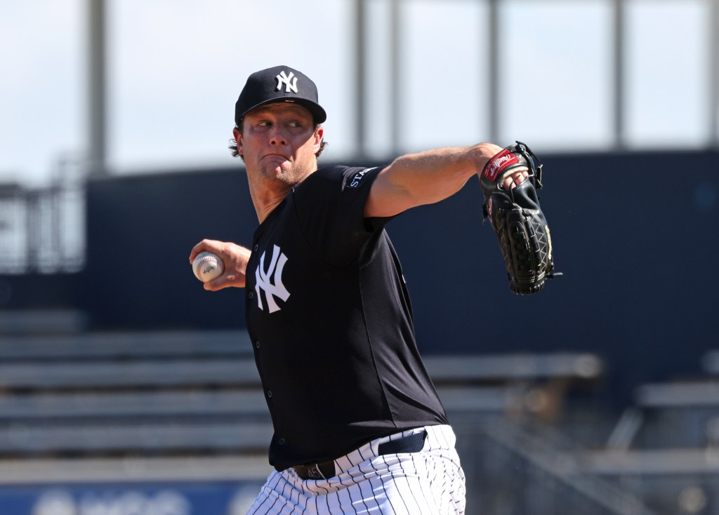 Yankees’ two aces Max Fried, Gerrit Cole establishing working bond: ‘I ...