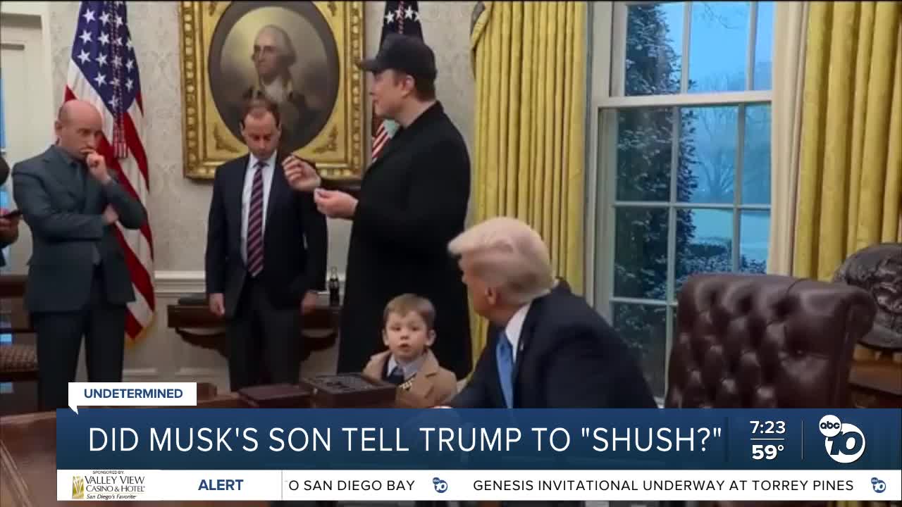 Fact or Fiction: Did Elon Musk's son tell President Trump to 'shush?'