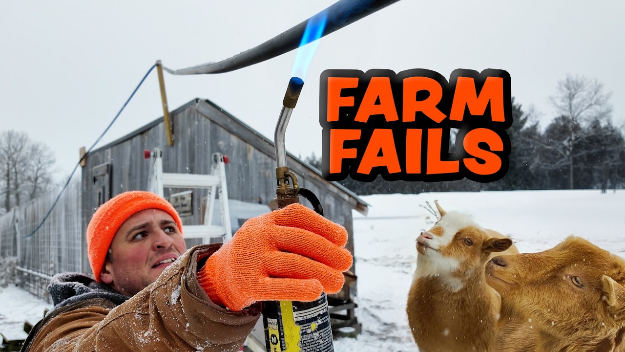 Everything Crashed on My Farm Today: Total Disaster