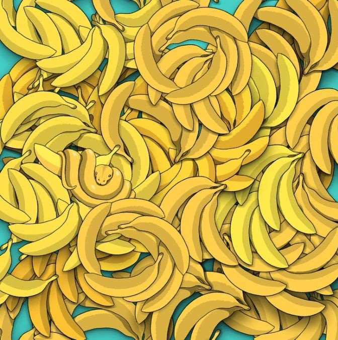 Optical Illusion IQ Test: 99% Fail To Spot The Snake Among the Bananas ...