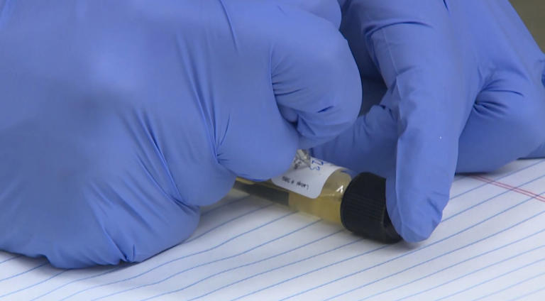 Inside the lab: NDOW testing wild birds for avian influenza