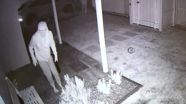 Home of 9News presenter targeted in attempted break-in