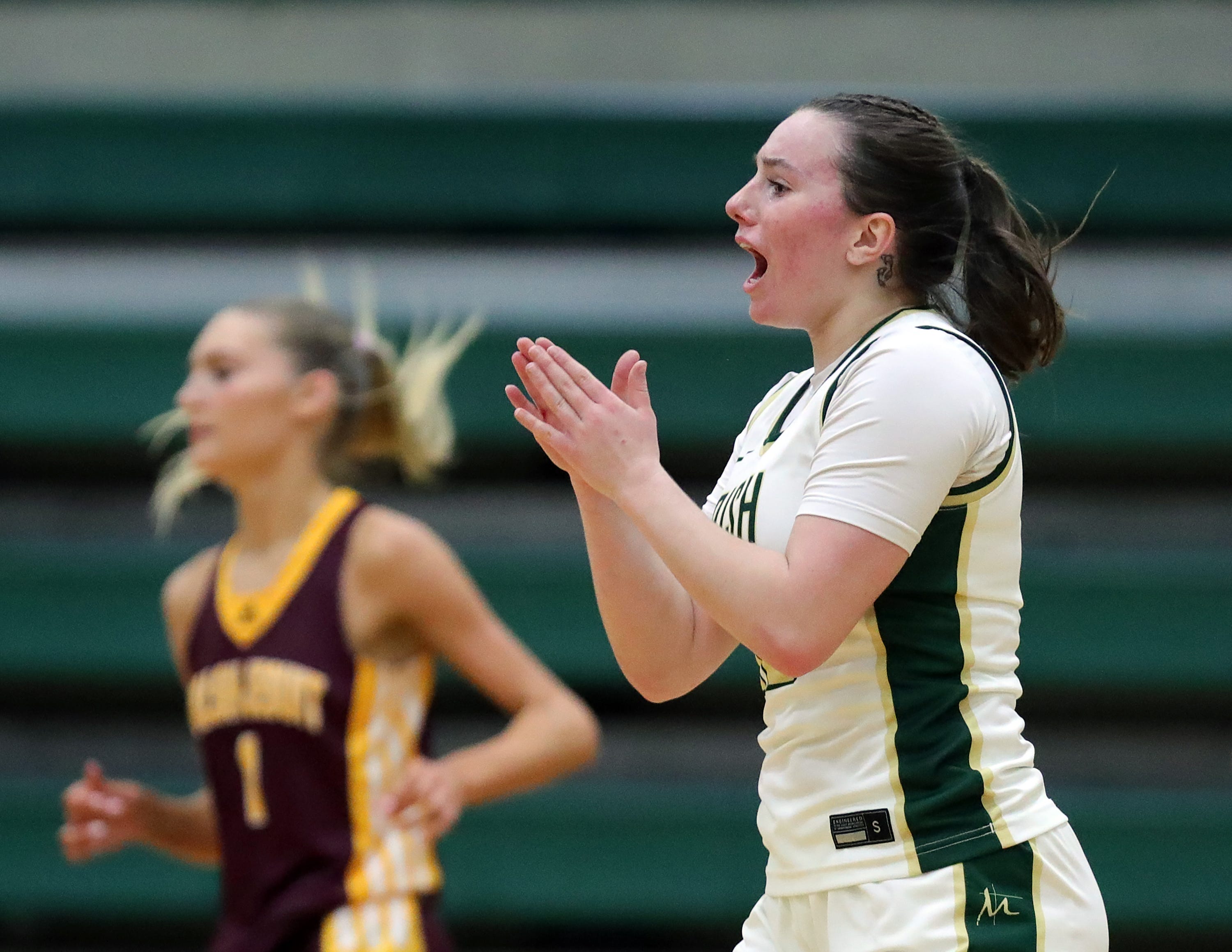 STVM, VASJ, Mooney out of Ohio Catholic Athletic Conference, leaving 5 ...