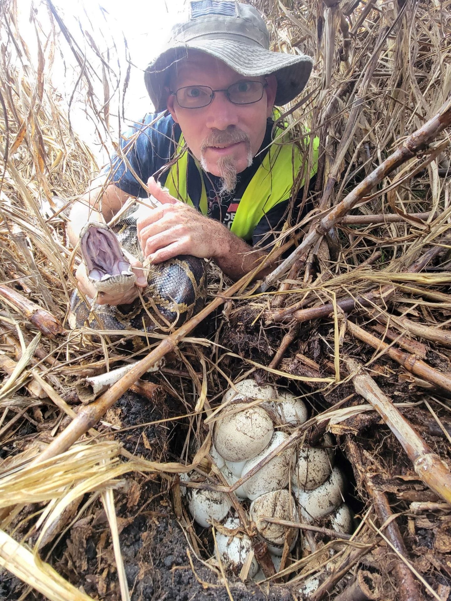 First female to win the Florida Python Challenge nabbed 60 pythons and ...