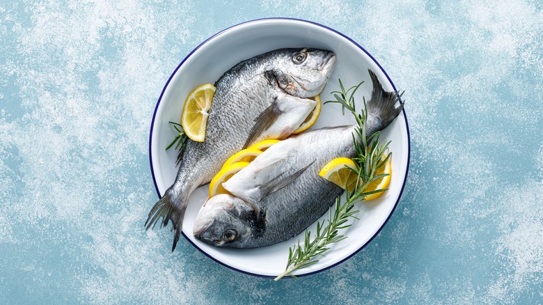 Why Fresh Fish Shouldn't Smell Fishy