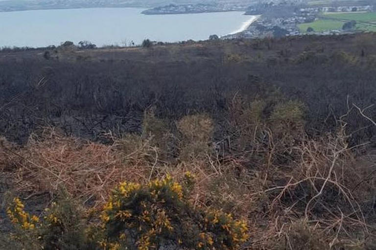 Huge hillside fire near Abersoch sweeps across 100,000 square metres