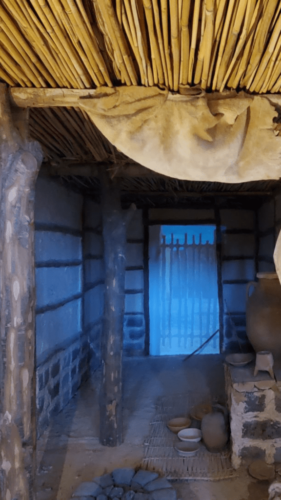 Timeless Troy: Ancient Ruins and Modern Discoveries in Turkey