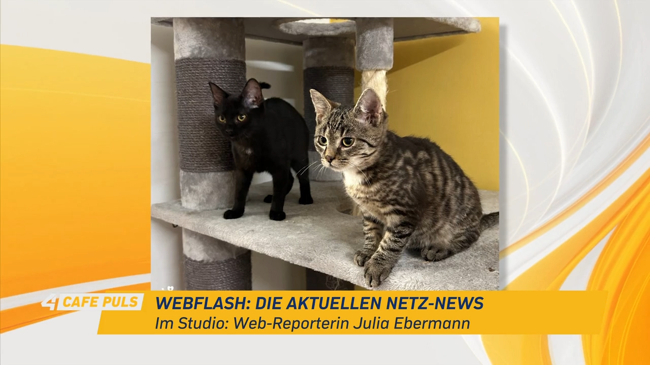Webflash: Die aktuellen Netz-News vom 14.02.2025