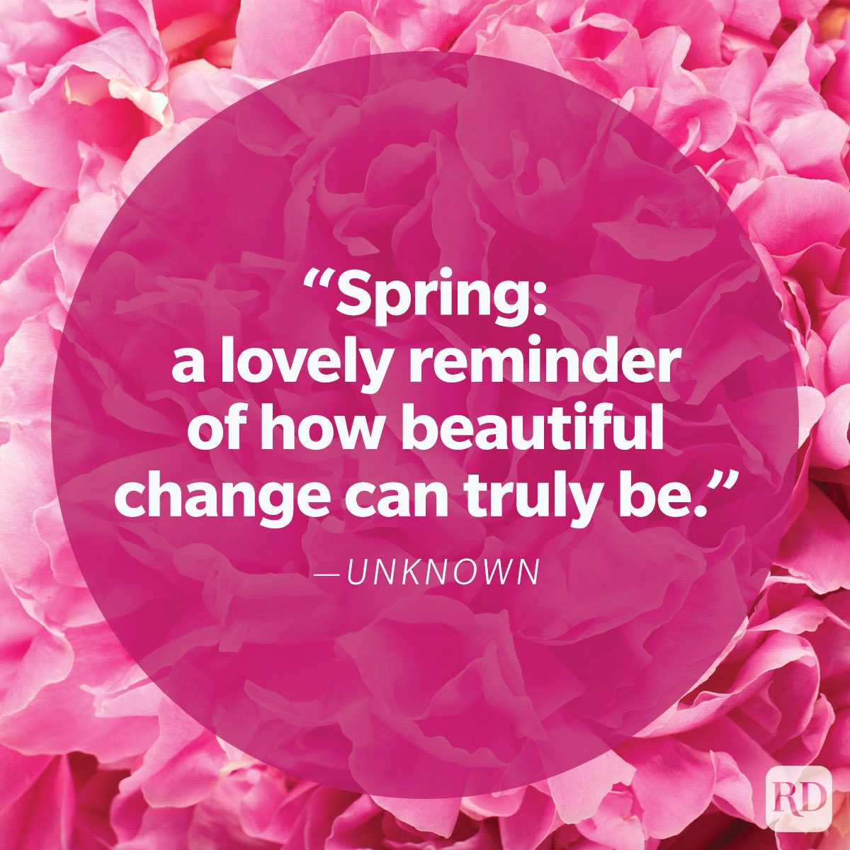61 Warm and Cheerful Spring Quotes to Brighten Your Day