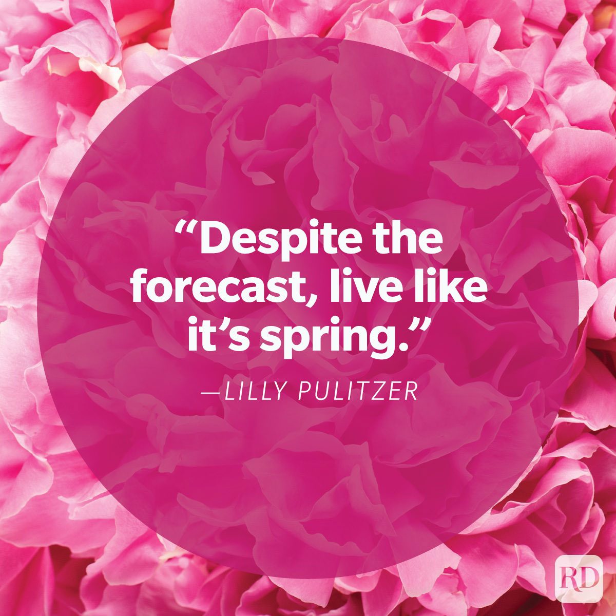 61 Warm and Cheerful Spring Quotes to Brighten Your Day