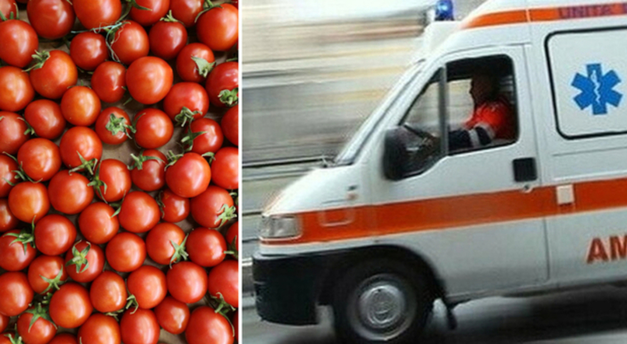 Alunni intossicati dal pomodorino, 246 casi dopo il pranzo in mensa ...