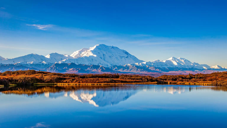 How to see the wonders of Alaska's Denali National Park and Preserve