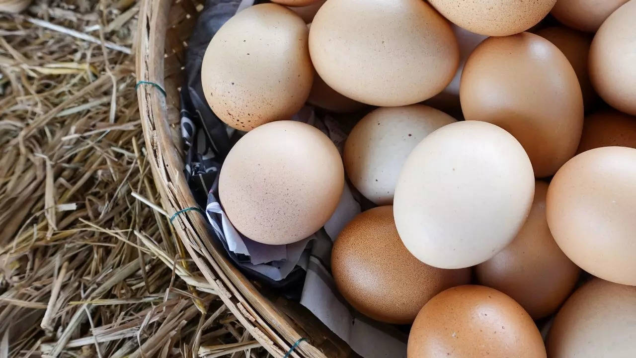 Desi eggs vs. regular eggs: Which is healthier?