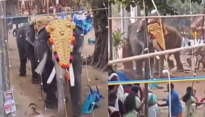 Elephants Attack video: దేవుని ఉత్సవాలలో ఏనుగుల బీభత్సం.. జనాలను ...