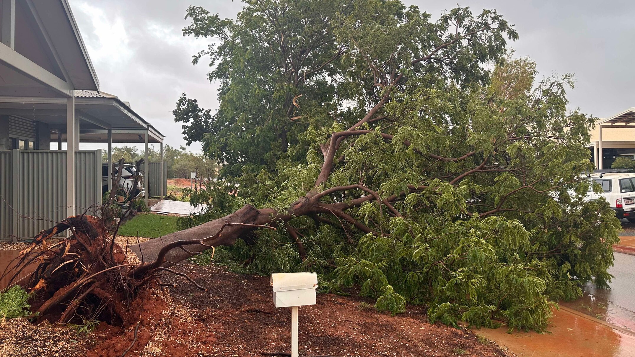 Severe Tropical Cyclone Zelia hits WA's Pilbara coast at category four