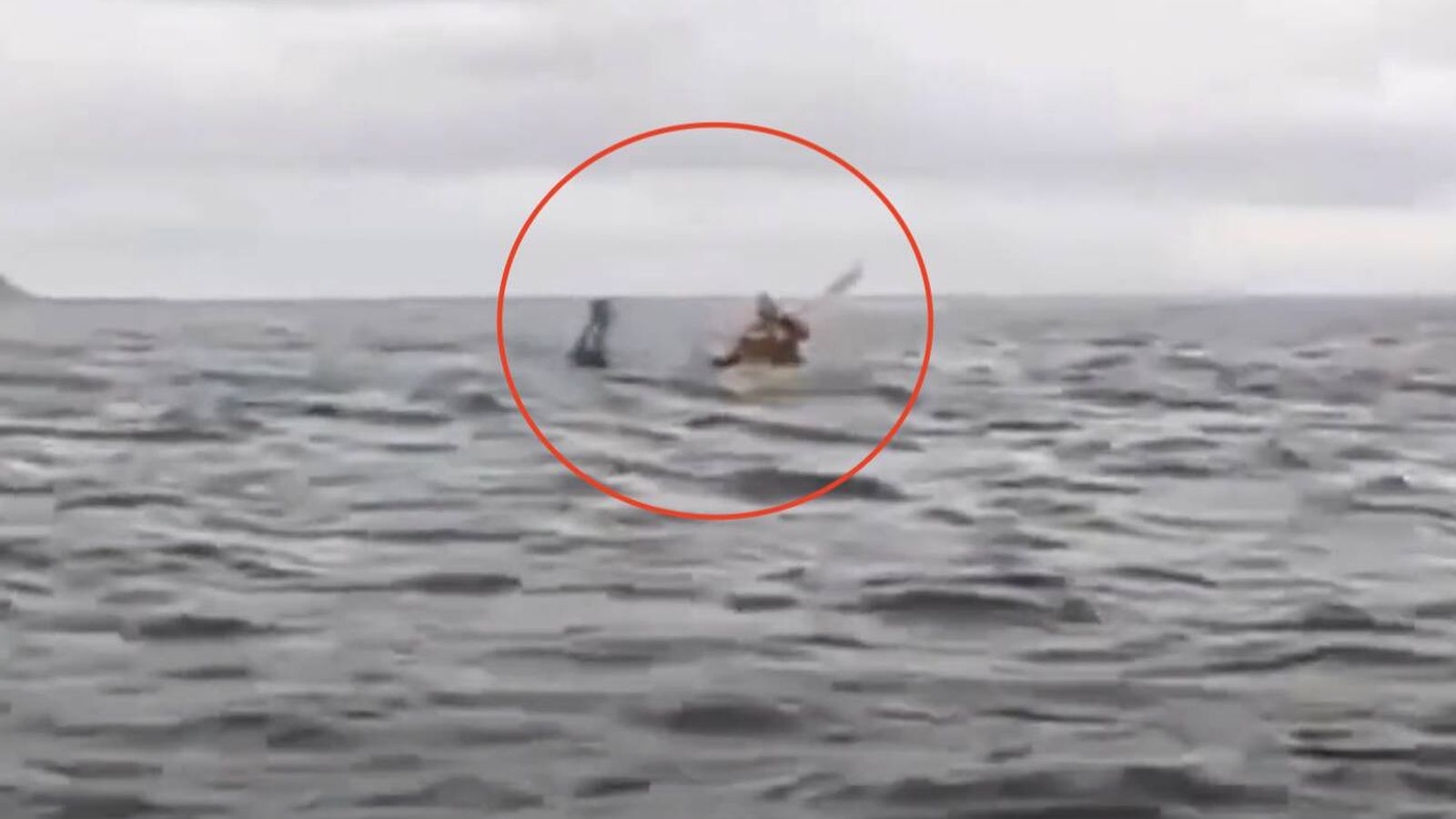 El increíble vídeo del hombre que fue engullido por una ballena... y ...