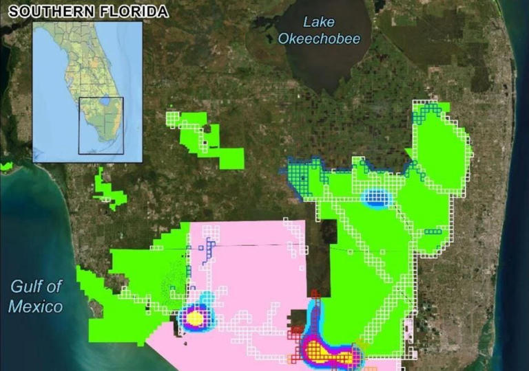 Python 'hot spot' identified in Palm Beach County by University of ...