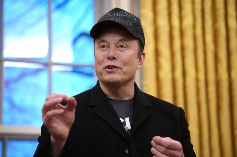 Elon Musk called out over Sydney Sweeney meme as billionaire faces backlash Elon Musk called out over Sydney Sweeney meme as billionaire faces backlash