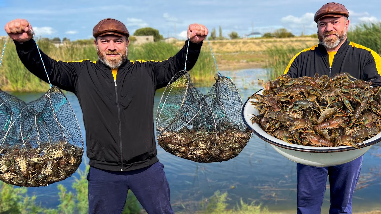 Cooking Recipes - MSN