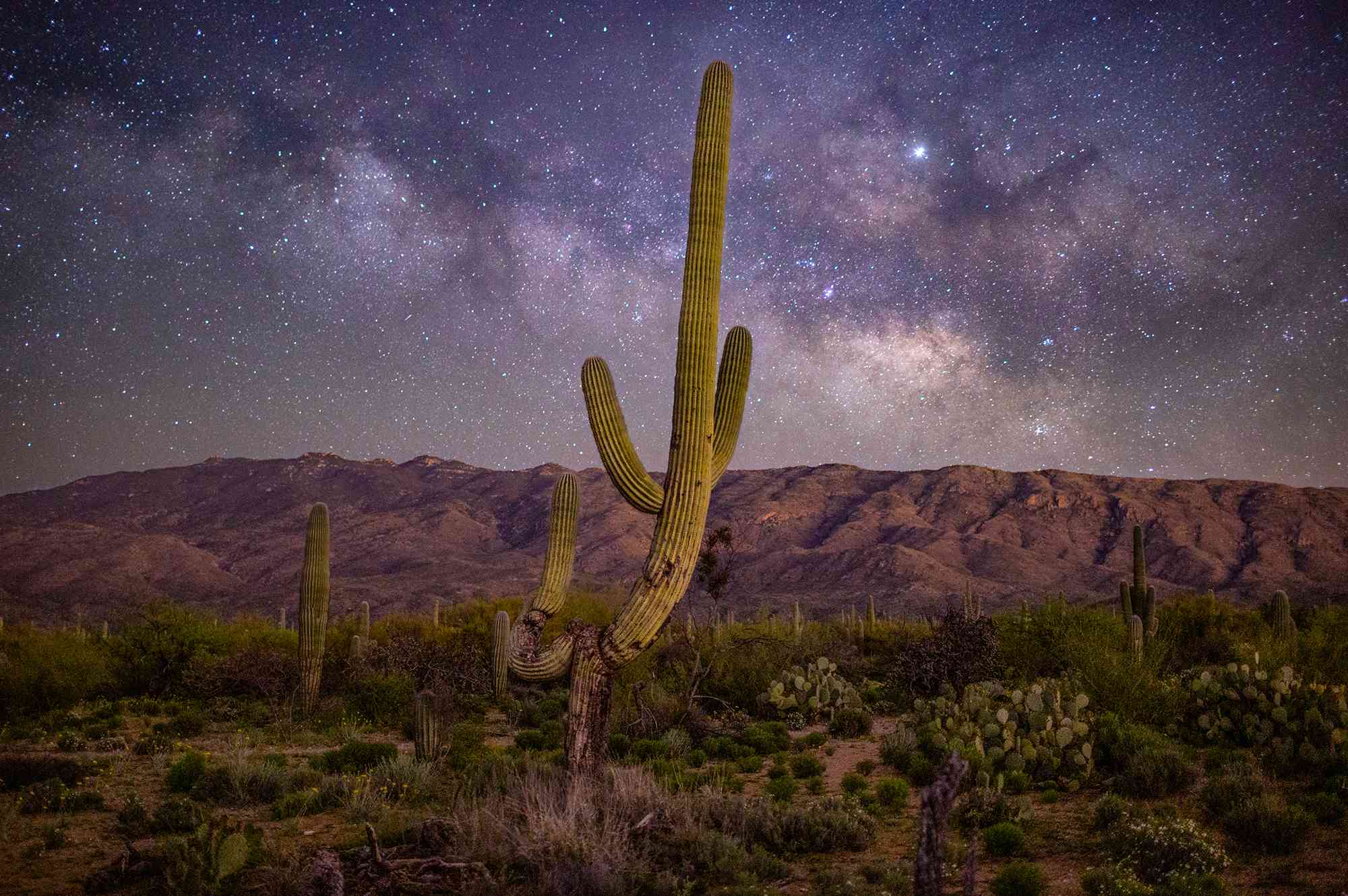 This New ‘Astro Trail’ in Arizona Is Located in One of the ‘Astronomy ...