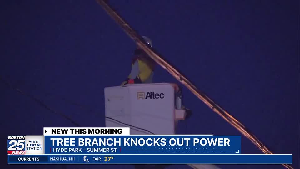 Fallen tree branch knocks out power to Boston neighborhood