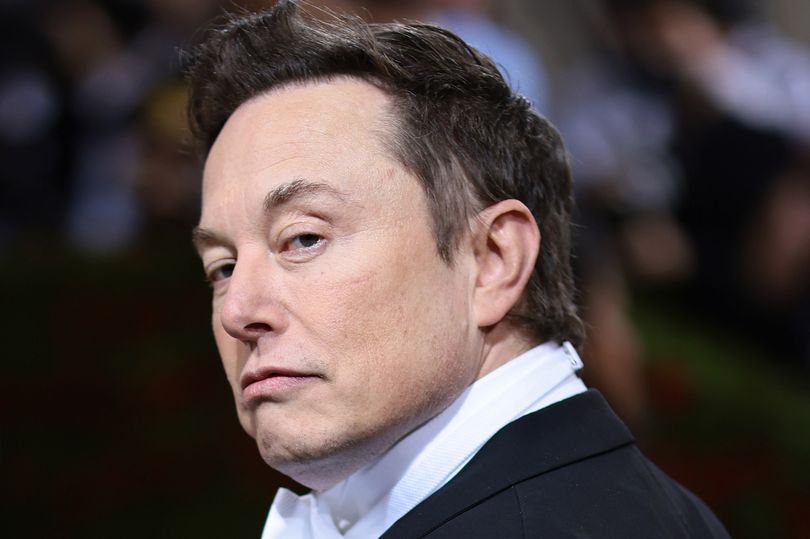 Elon Musk controversy sees more scientists back Royal Society ban and ...