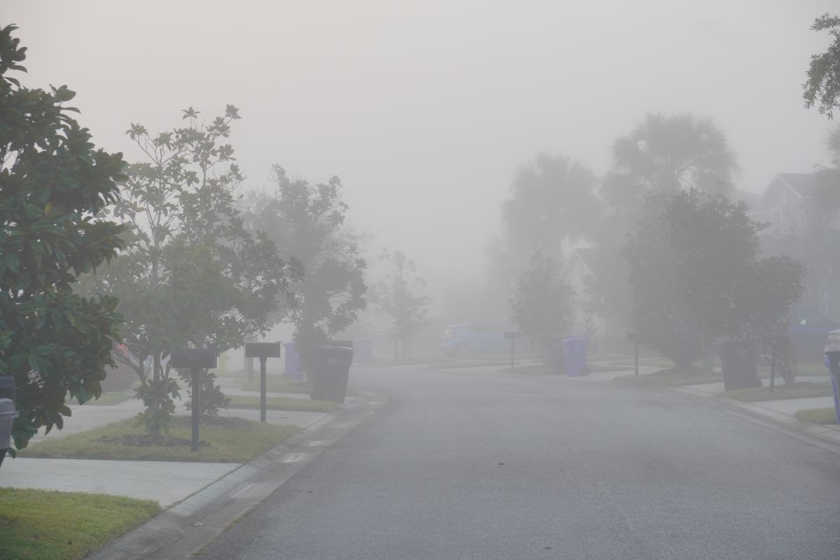 “Weird” Fog Hits Florida – And Its Smell Supposedly Defies Description