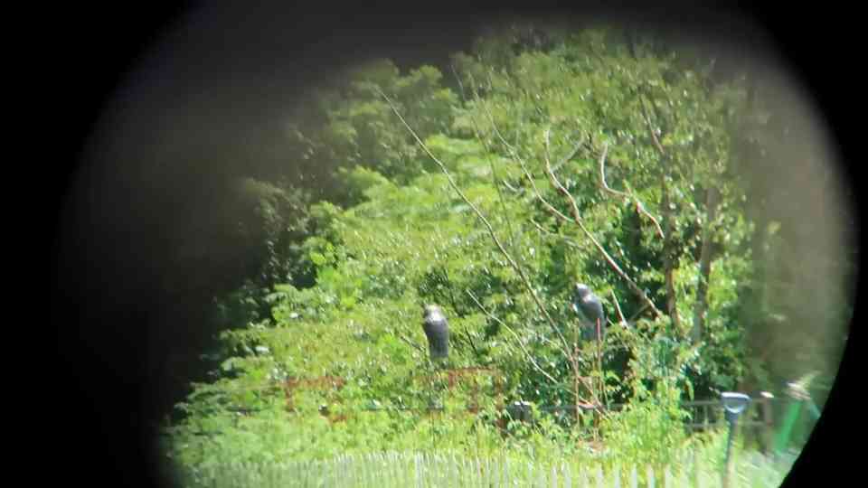 6 Next Level Amazon Finds That Are Worth Buying