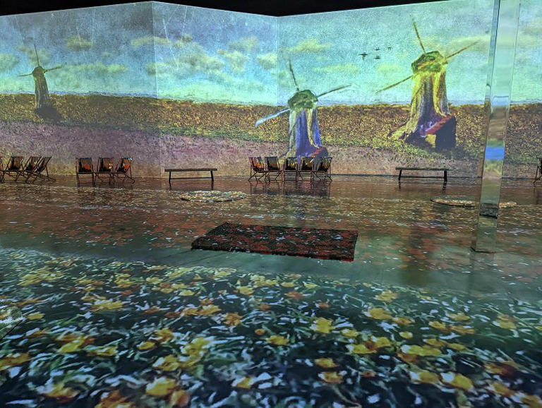 Claude Monet: The Immersive Experience — Review