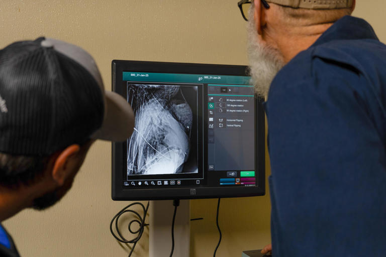 Caring for the condors: At remote Arizona wildlife center, biologists ...