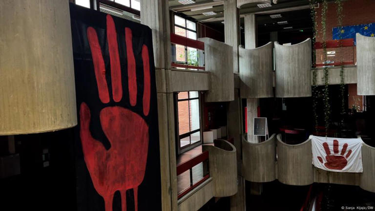 Inside Serbia's student protest movement