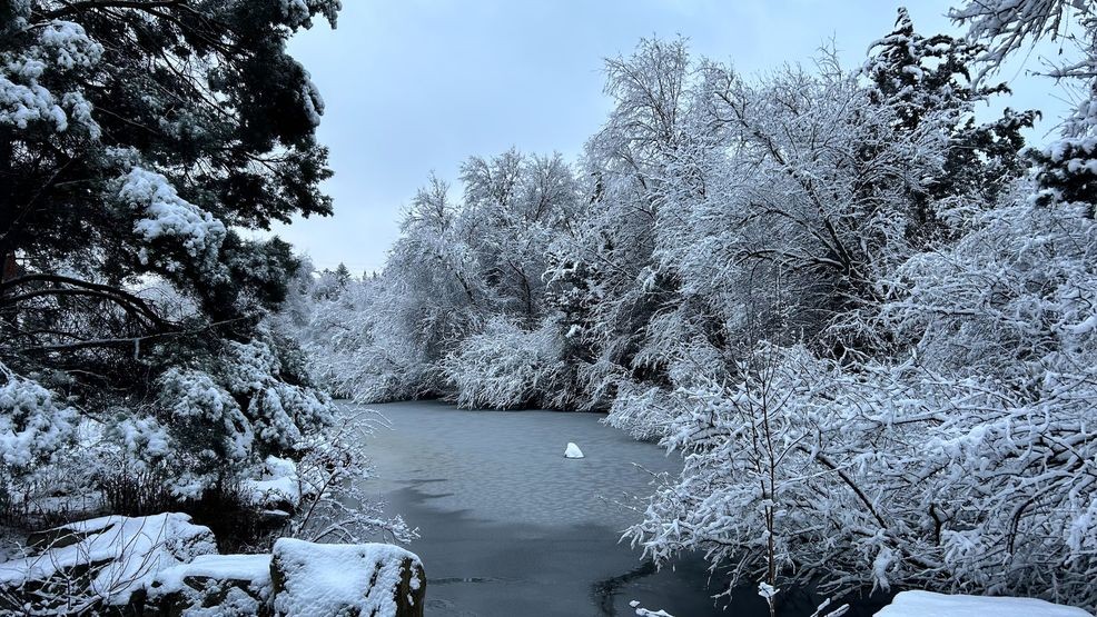 Snow showers Today, light snow Sunday