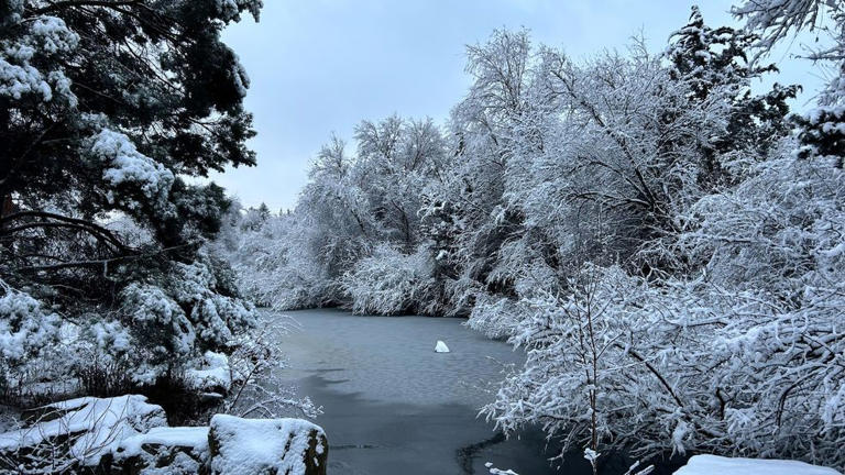 Snowy Morning, Rainy Afternoon and Drier Weather Tomorrow