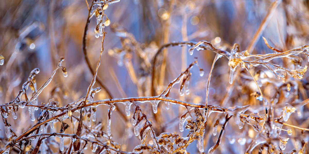 Met Office warning over rare freezing rain in the UK this weekend