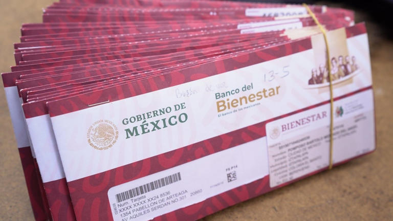 Mujeres de 18 a 64 años recibirán en esta FECHA la tarjea Bienestar con ...