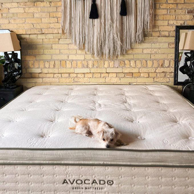 Best mattress in a box picks of 2026 for side sleepers, back pain and more