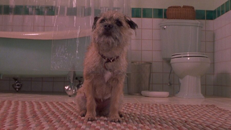 Iconic '90s Raunchy R-Rated Comedy On Hulu Holds Up Thanks To Brilliant ...