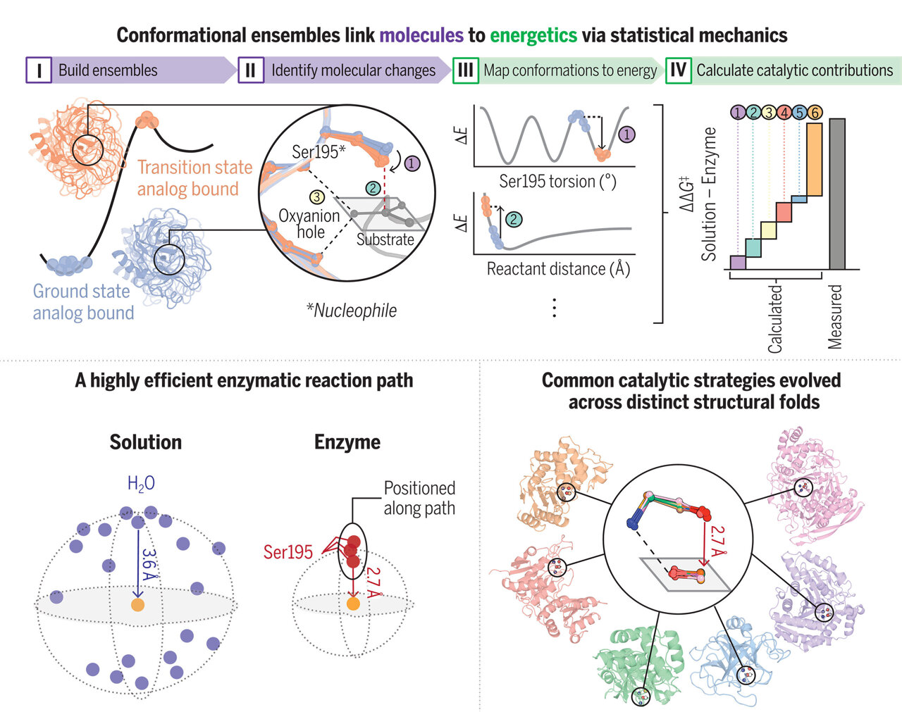 New findings on the power of enzymes could reshape biochemistry