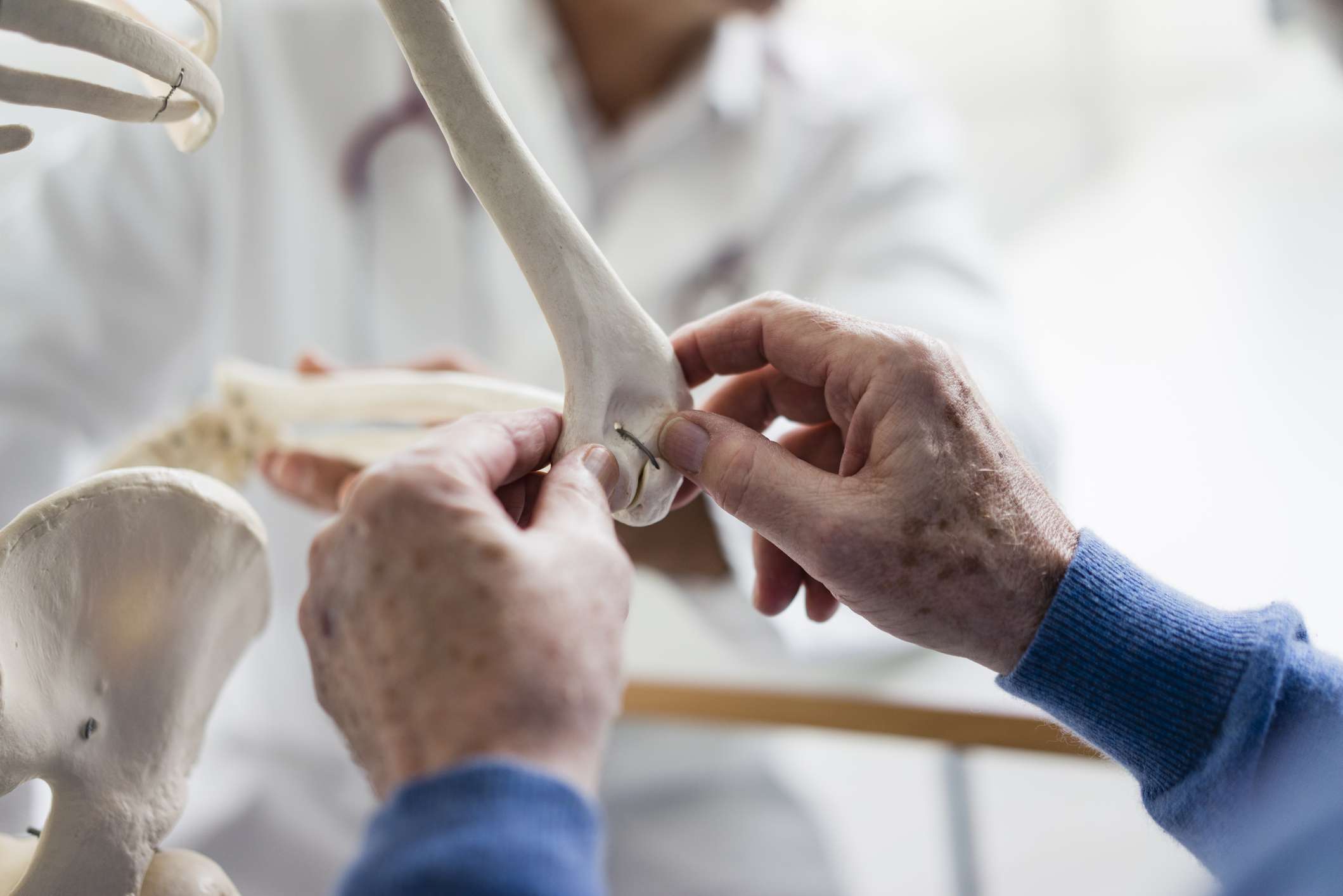 What is bone marrow and why is it important?
