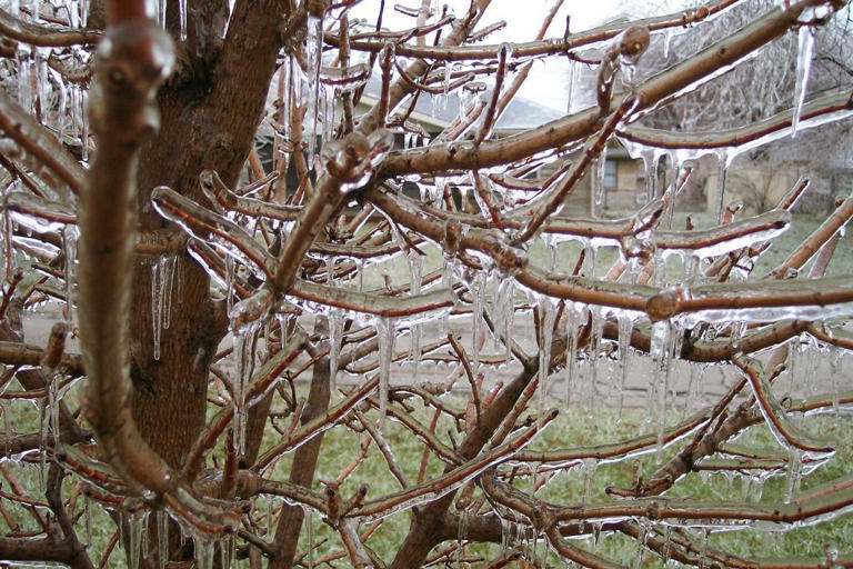 Sleet, freezing rain coming with weekend storm: What's the difference?