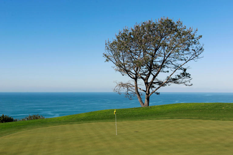 The 2025 Genesis Invitational heads to Torrey Pines: 5 wild facts you ...