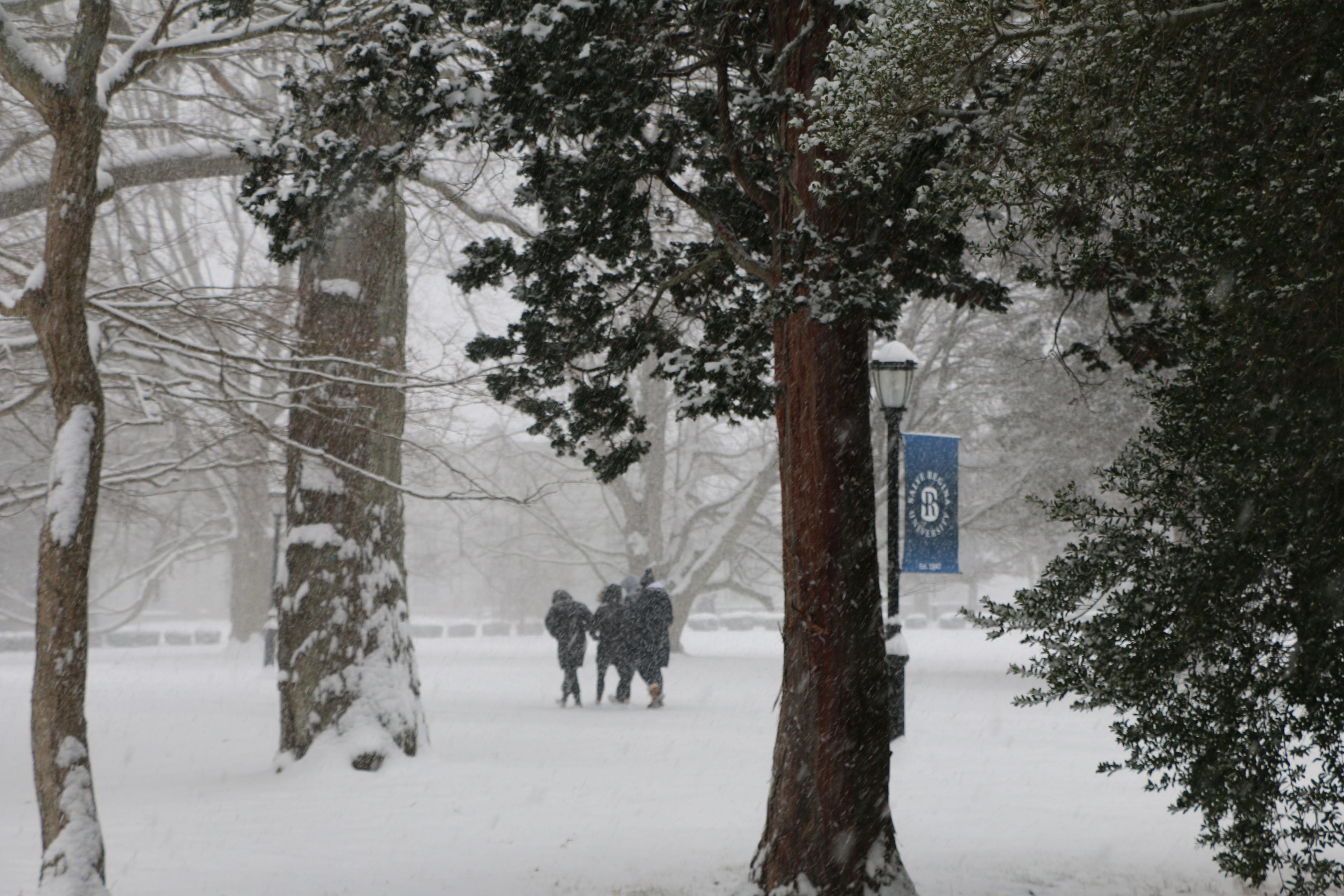 Newport County parking bans announced for Feb. 15-16 as snow, ice forecast