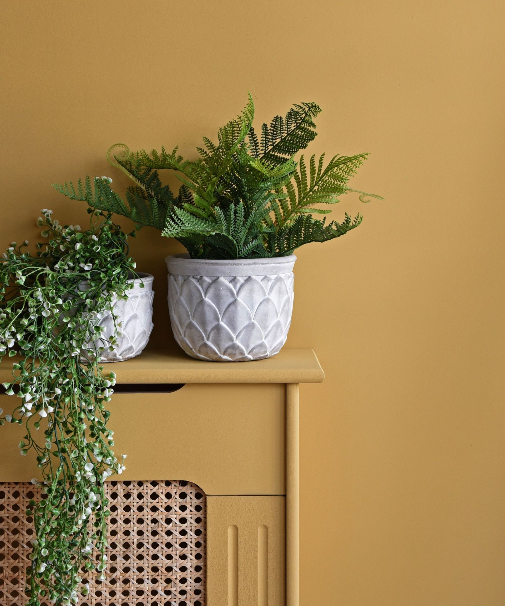 3 reasons your fern is drooping and how to save it, according to ...
